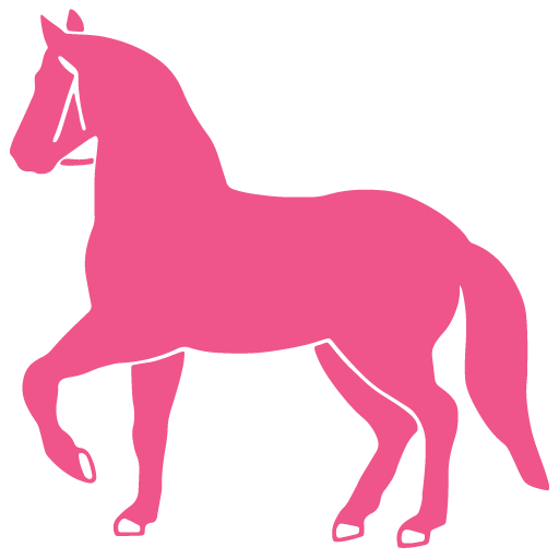 The Pink Pony on Mackinac Island | Bar & Restaurant